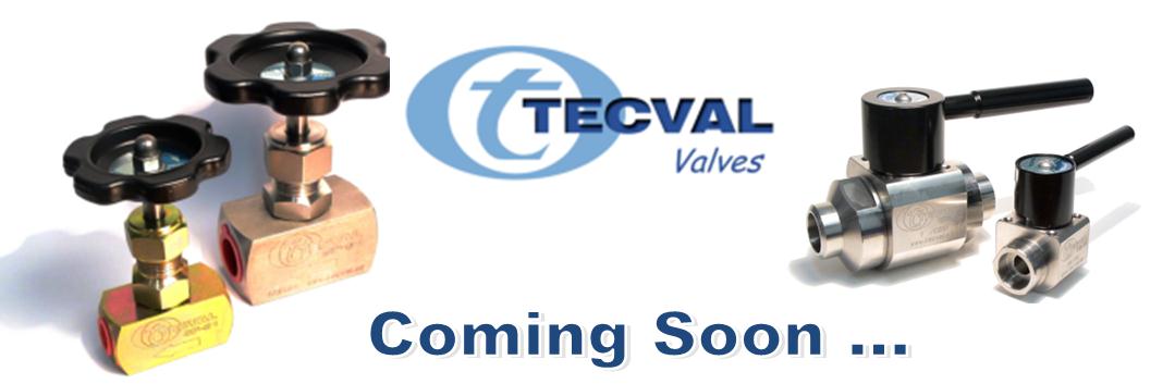 All valves online products, ball valves, axial valves, actuators, fittings